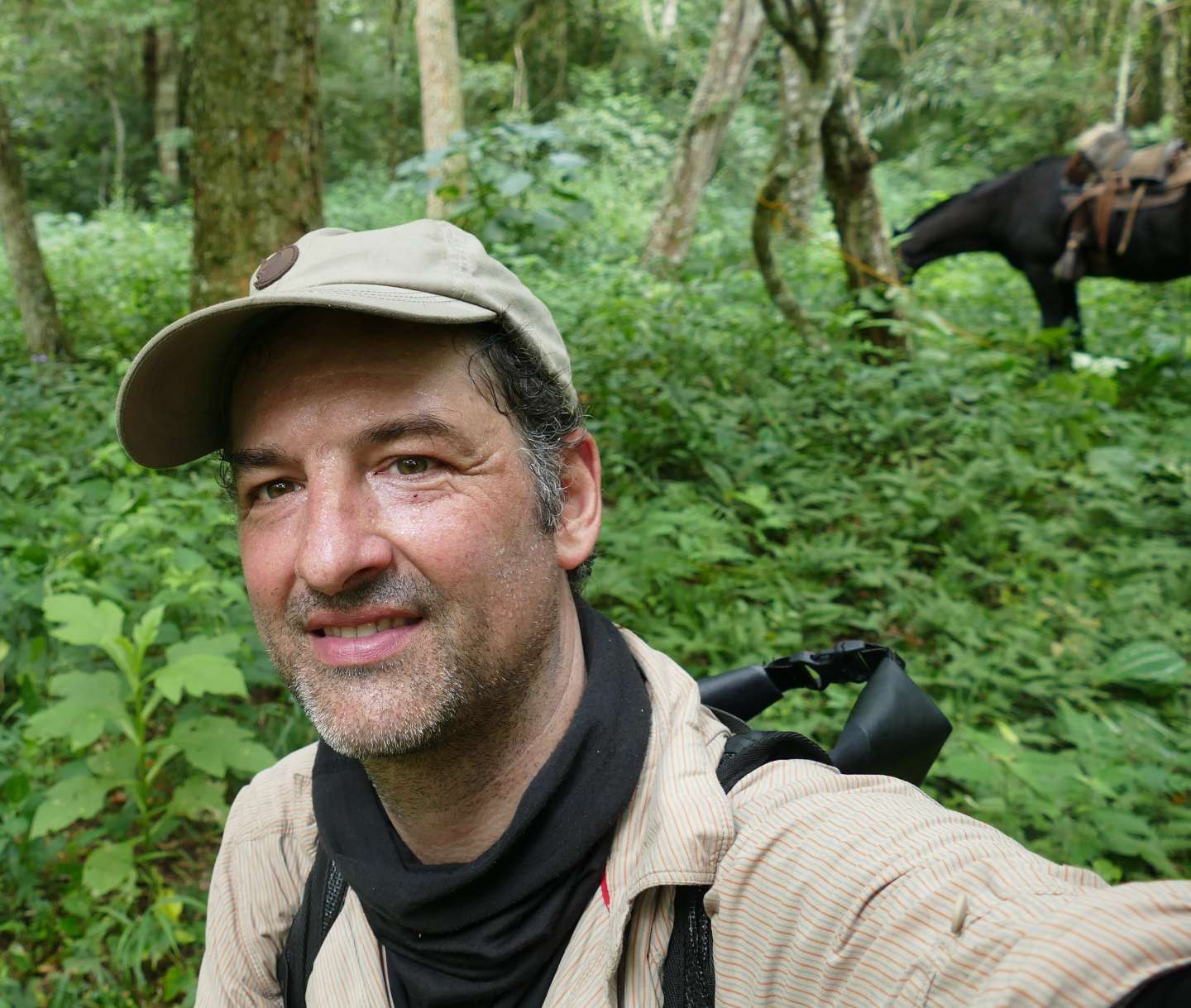 Team | WildLIVE!